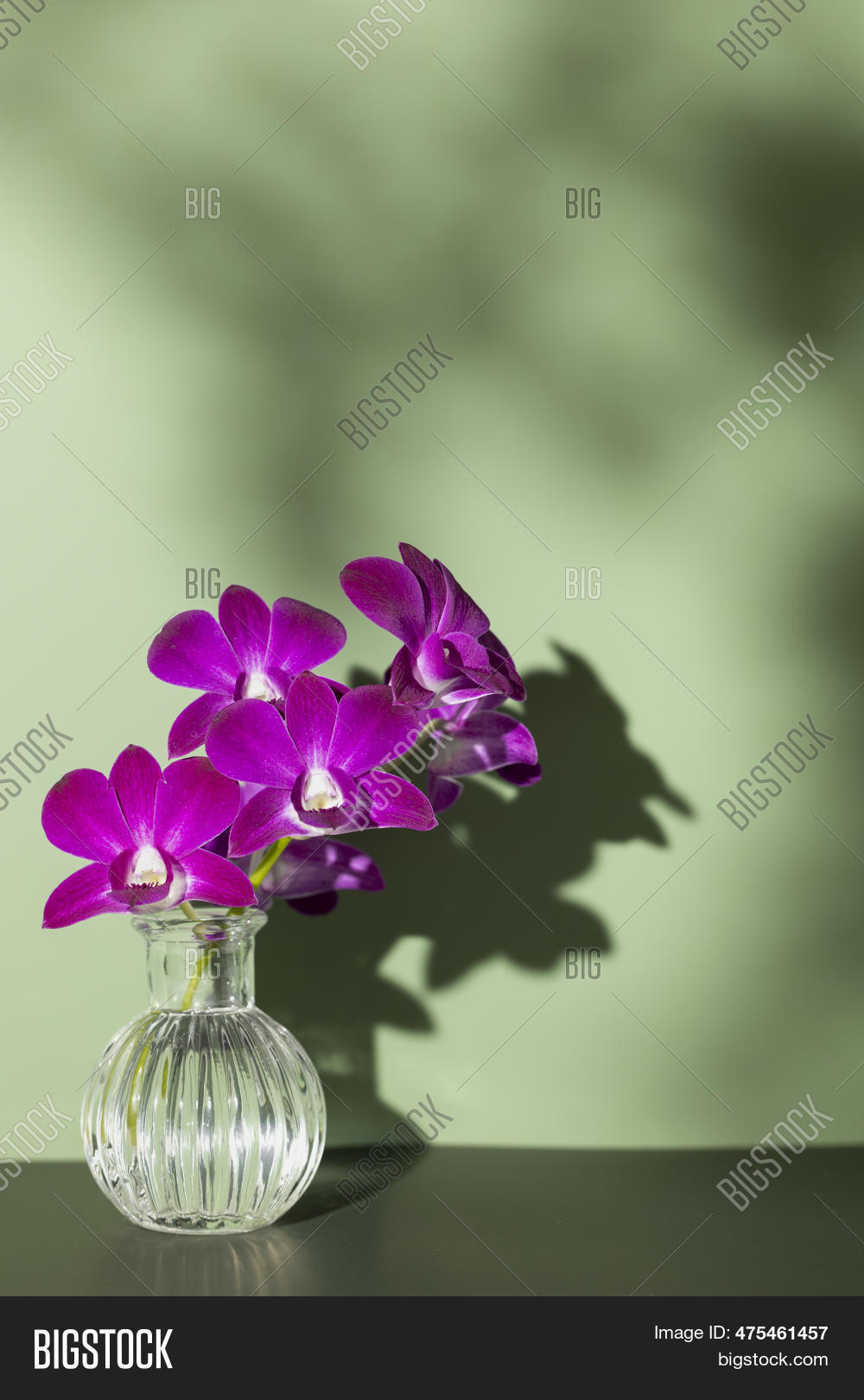 Vertical Photography Of Flowers