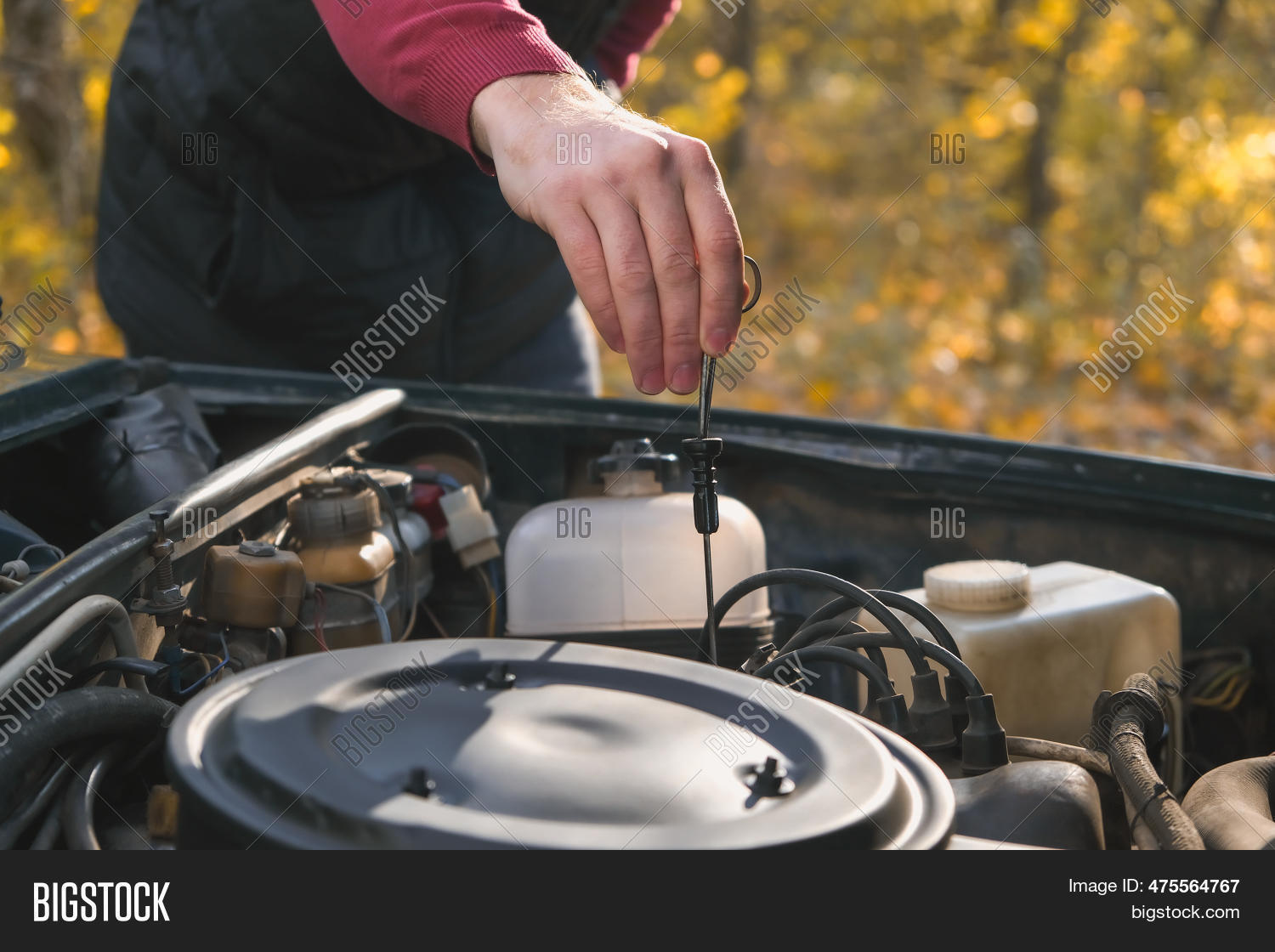 Man Checks Oil Level Image & Photo (Free Trial) | Bigstock