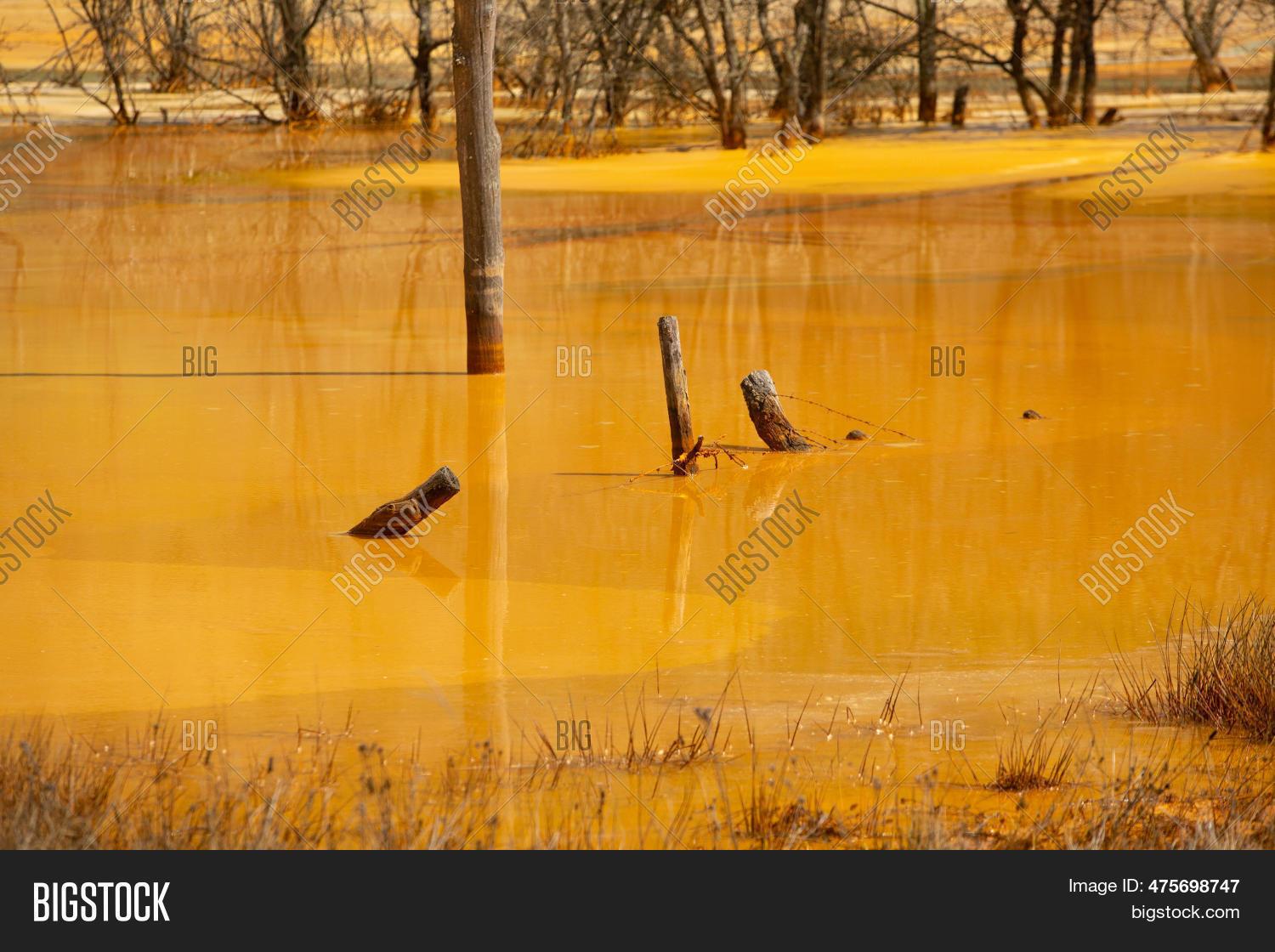 Lake Contaminated Image & Photo (Free Trial) | Bigstock