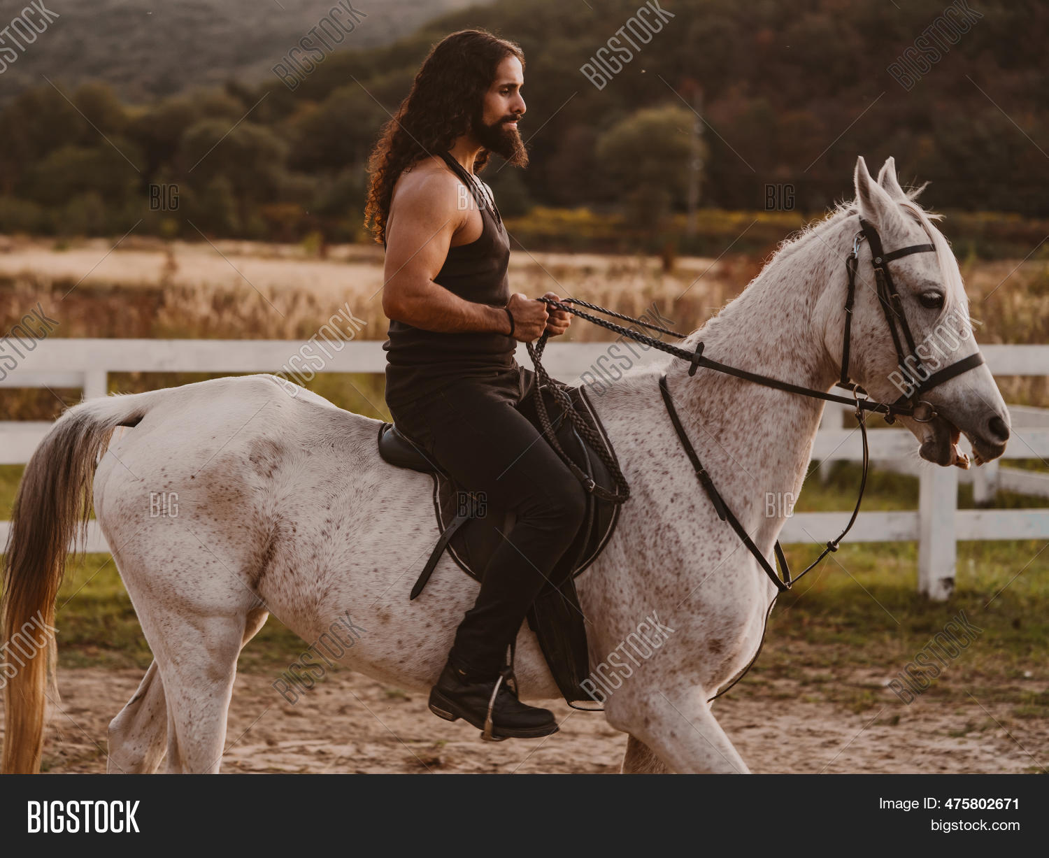 Handsome Muscular Man Image & Photo (Free Trial) | Bigstock