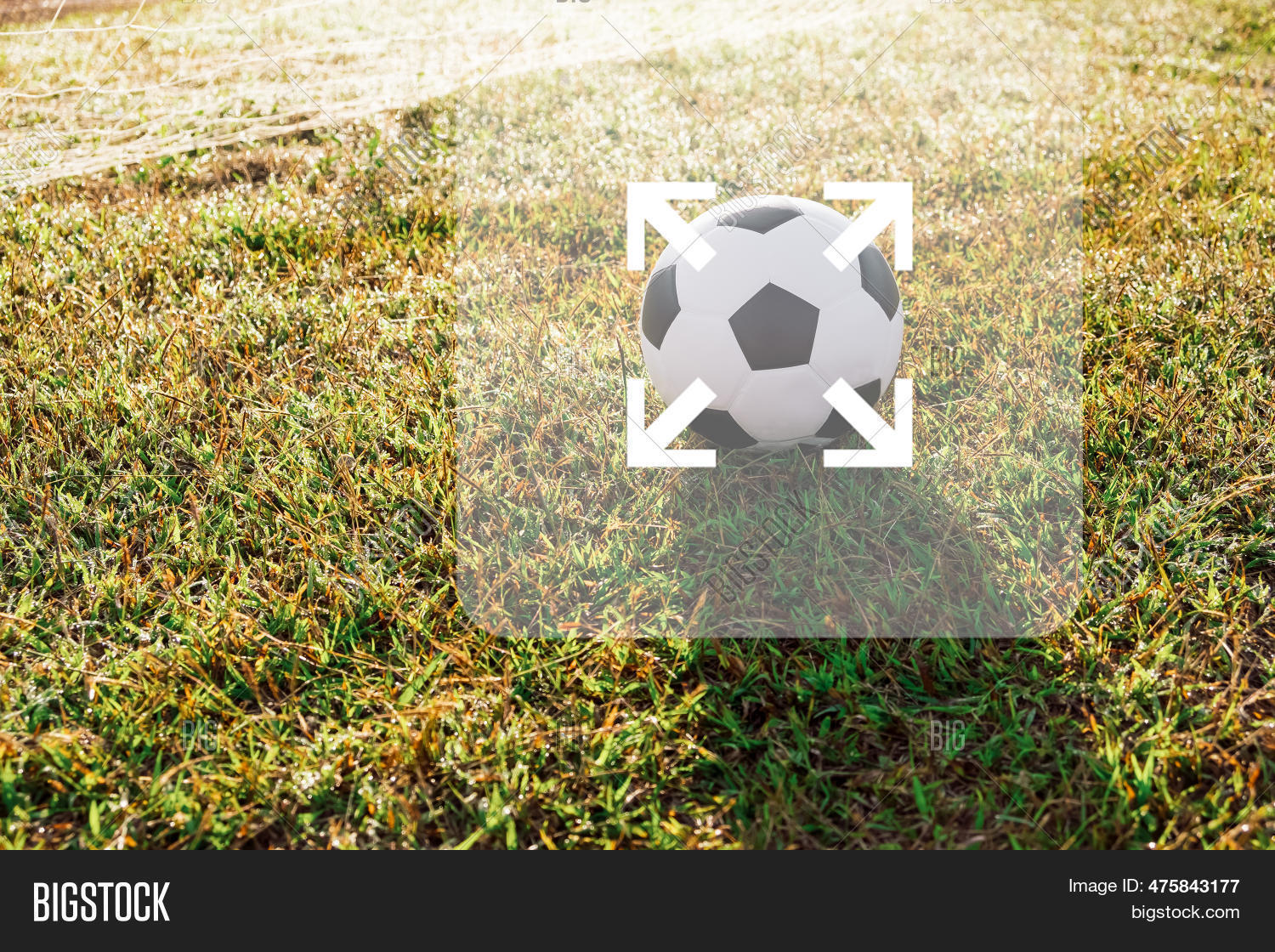 Front View Leather Image & Photo (Free Trial) | Bigstock