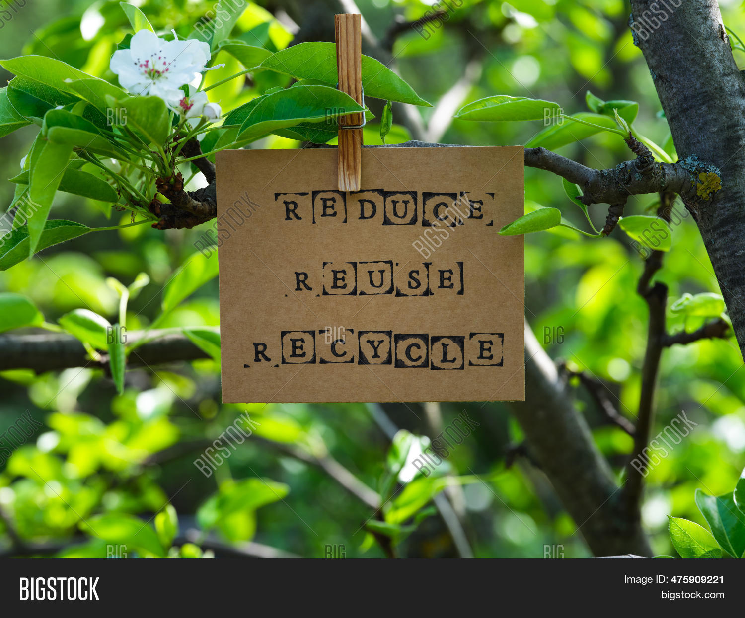 Piece Cardboard Words Image & Photo (Free Trial) | Bigstock