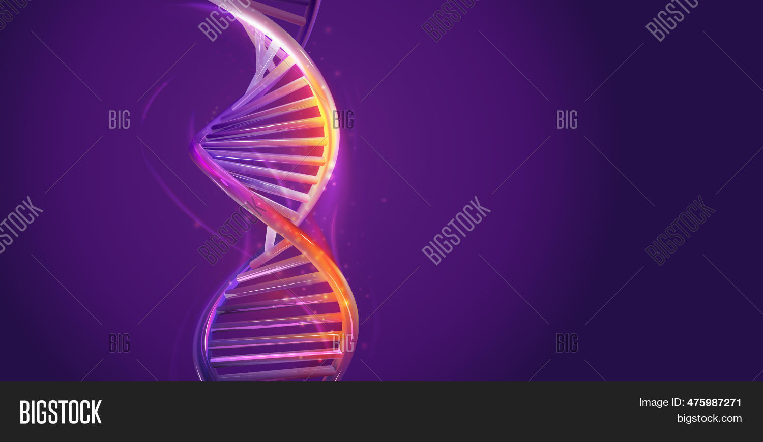 Dna Double Helix Image & Photo (Free Trial) | Bigstock