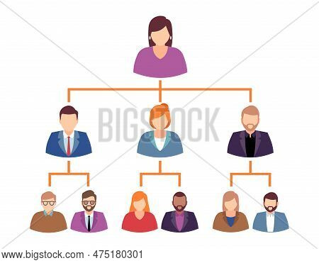 Hierarchy Company Vector & Photo (Free Trial) | Bigstock