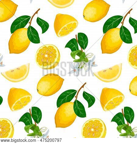 Lemons On Transparent Vector & Photo (Free Trial) | Bigstock