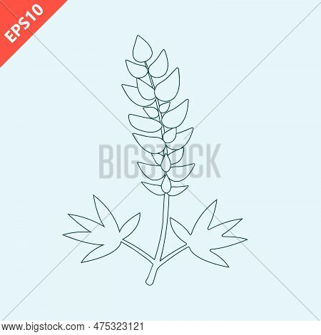 Hand Drawn Bluebonnet Vector & Photo (Free Trial) | Bigstock