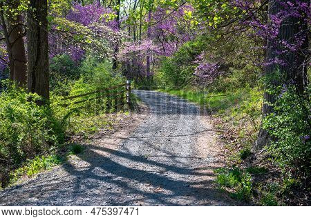 Purple Pathways Images, Illustrations & Vectors (Free) - Bigstock