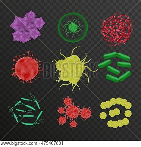 Bacteria Shapes Set Vector & Photo (Free Trial) | Bigstock