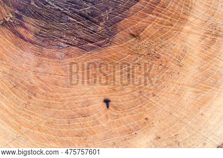 Texture Wet Surface Image & Photo (Free Trial) | Bigstock