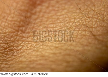 Macro Human Skin Image & Photo (Free Trial) | Bigstock