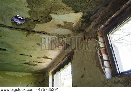 ภาพและภาพถ่าย (ทดลองใช้ฟรี) | Bigstock