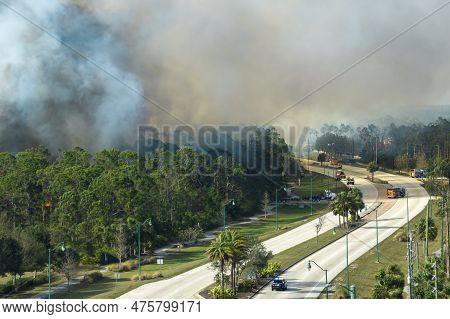 : изображения и фото (бесплатная пробная версия) | Bigstock