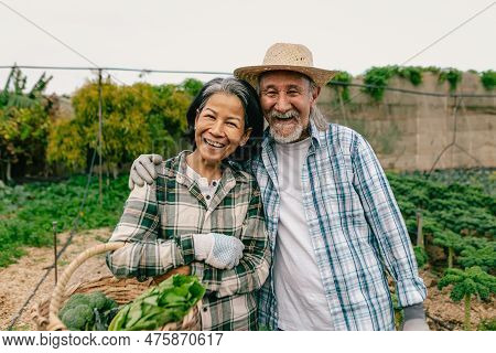 Person On Land Images, Illustrations & Vectors (Free) - Bigstock