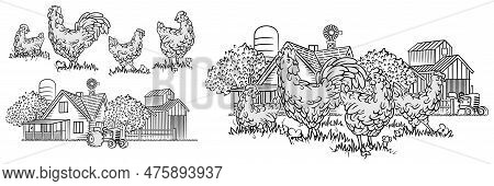 Chicken Farm Sketch. Vector & Photo (Free Trial) | Bigstock