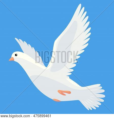 Pigeon Animation. Vector & Photo (Free Trial) | Bigstock