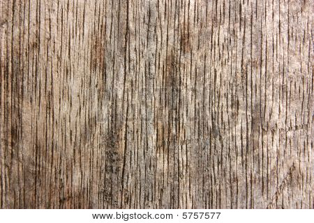Wood Texture - Image & Photo (Free Trial) | Bigstock