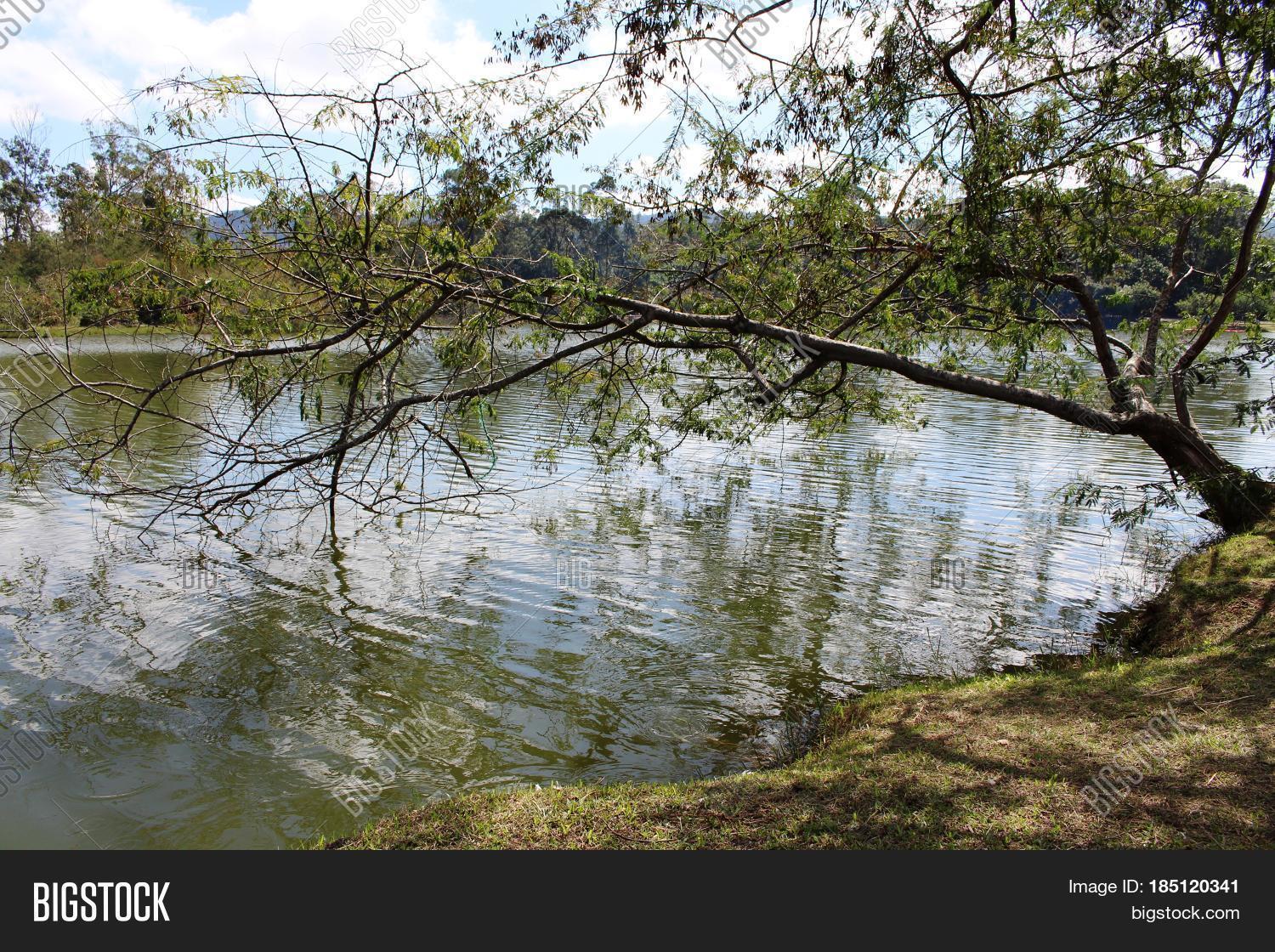 Natureza Lago Lindo E Image & Photo (Free Trial) | Bigstock