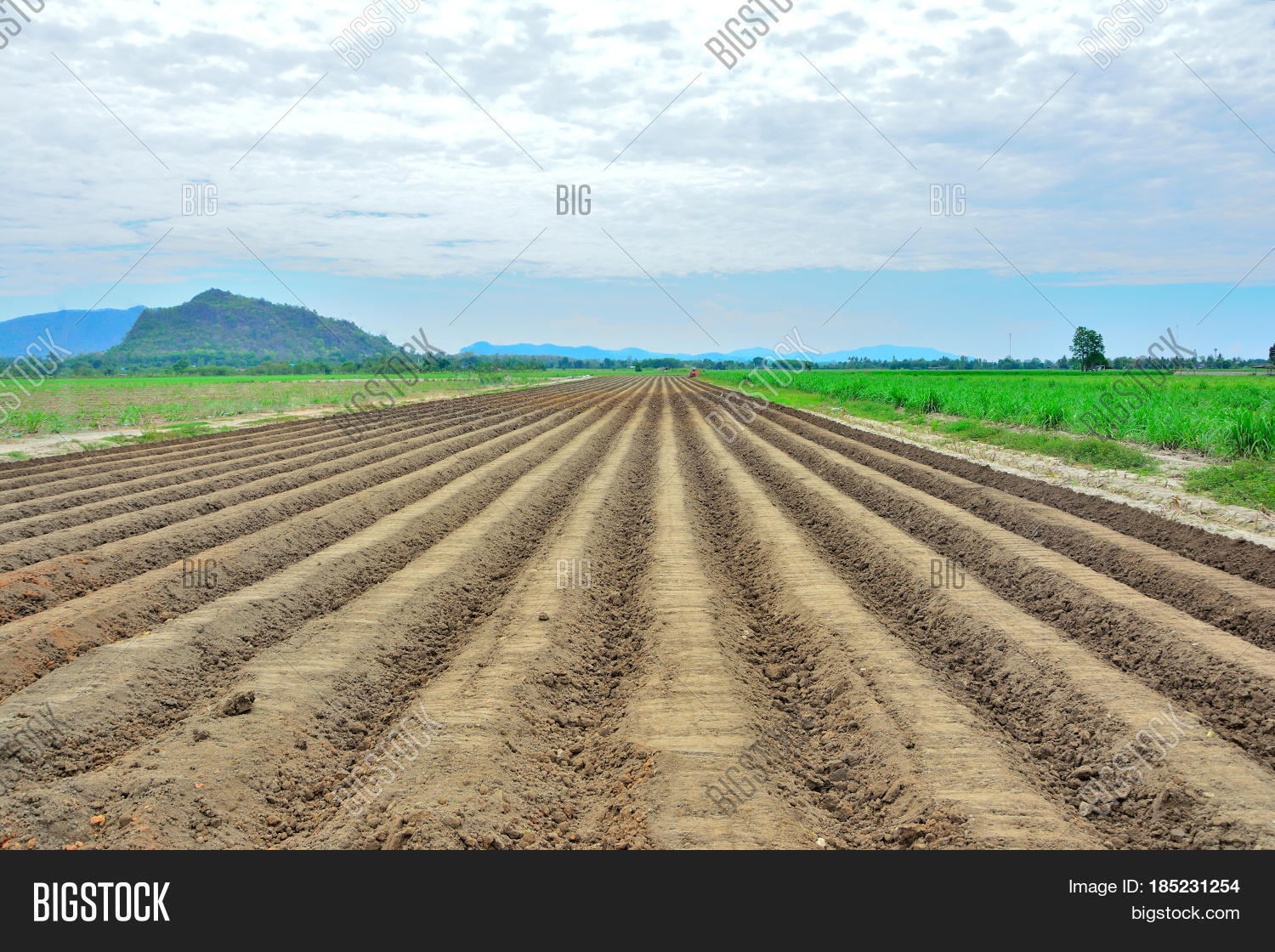 Earth Soil Grooves Image & Photo (Free Trial) | Bigstock