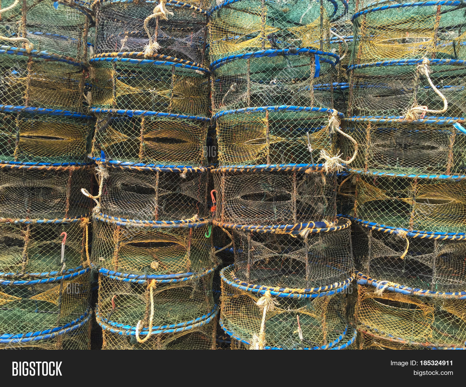 Colourful Stack Fish Image & Photo (Free Trial) | Bigstock