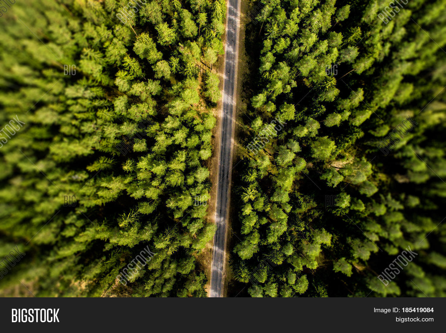 Top View Rural Road, Image & Photo (Free Trial) | Bigstock