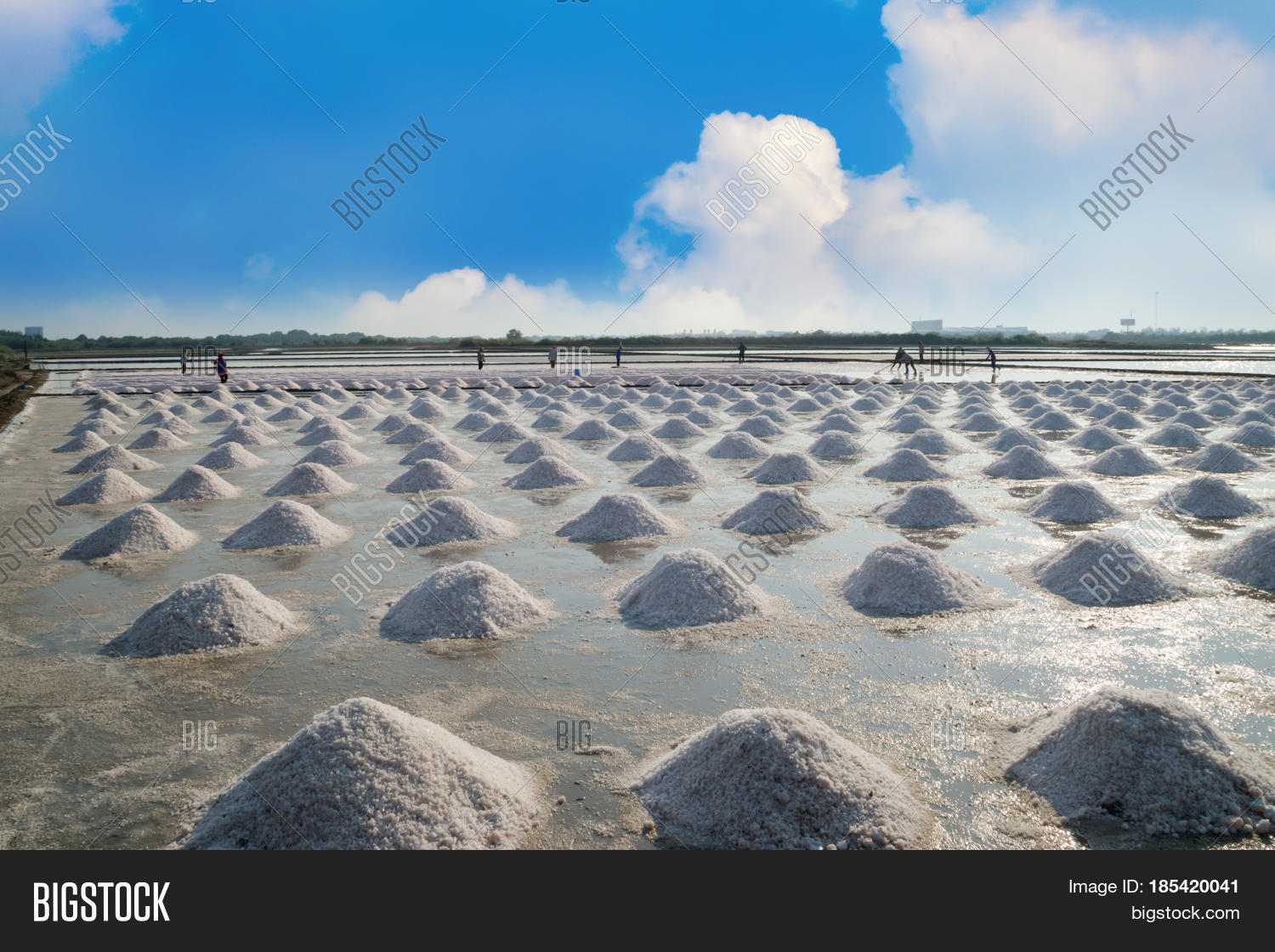Mass Salt Salt Sea Image & Photo (Free Trial) | Bigstock