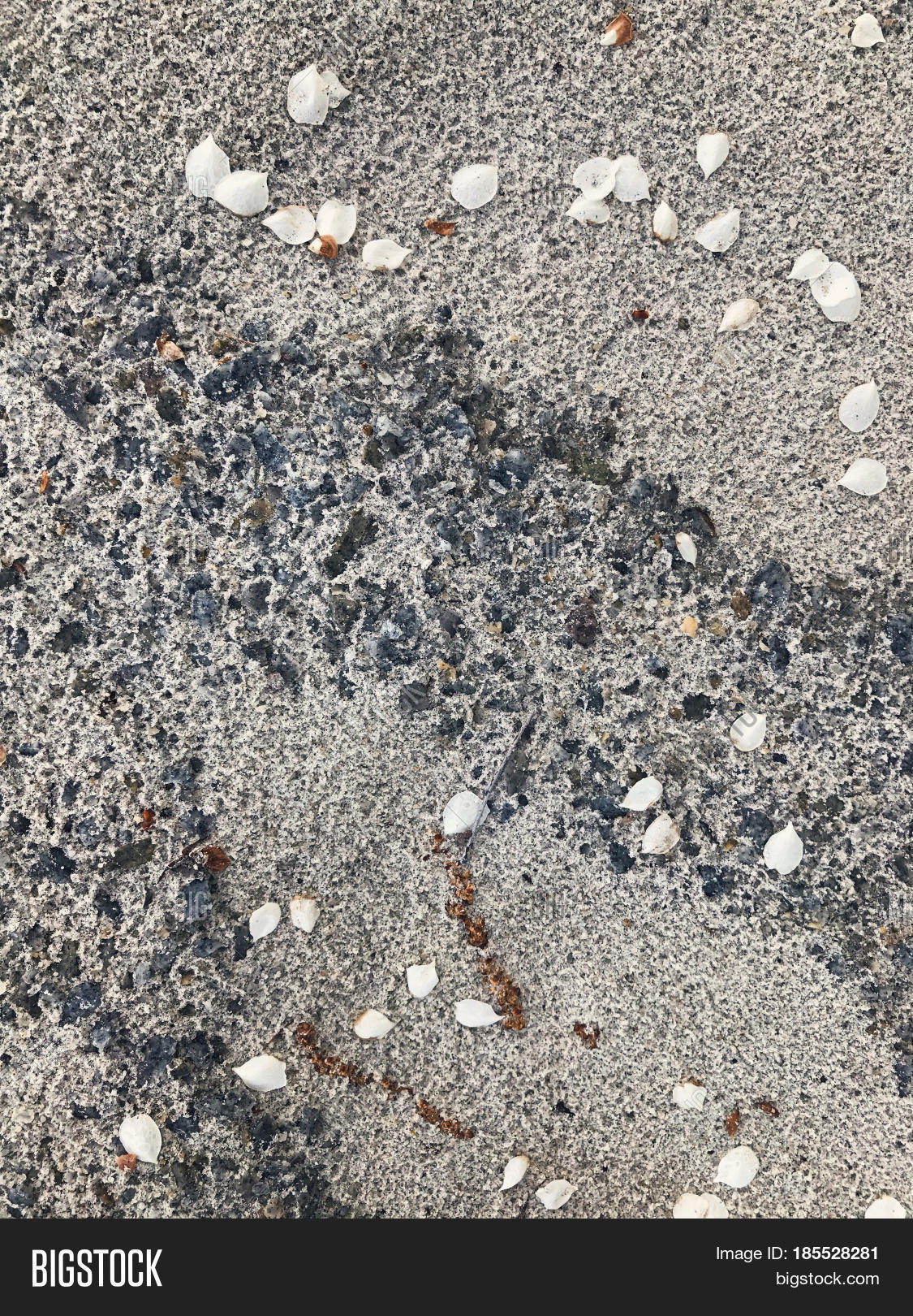 Pebble Sand Earth Image & Photo (Free Trial) | Bigstock