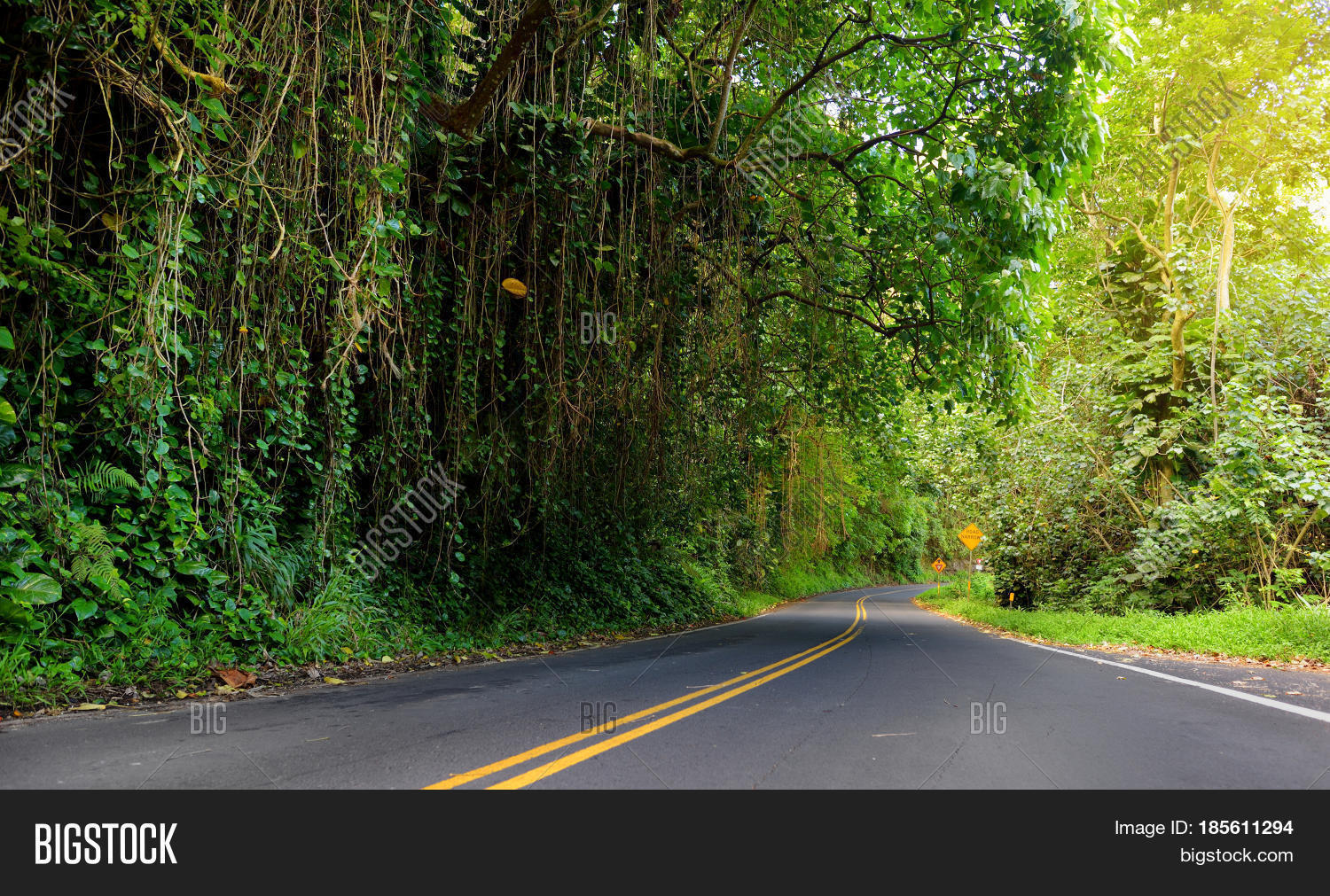 Famous Road Hana Image & Photo (Free Trial) | Bigstock