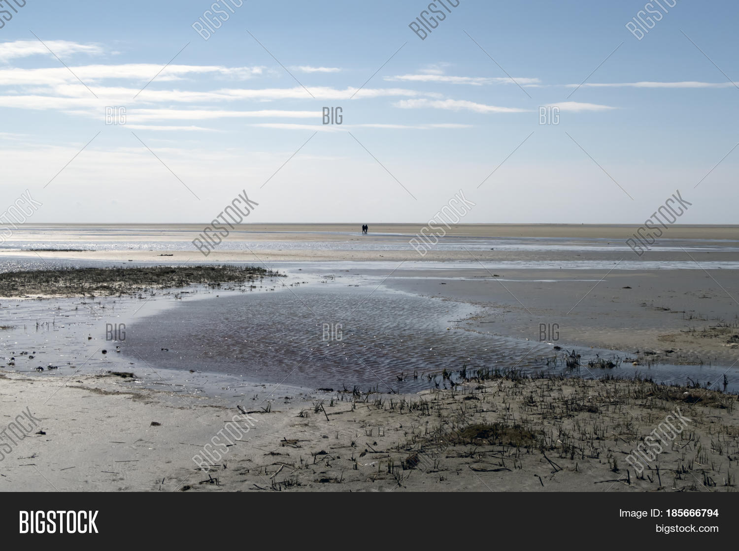 Wadden Sea Beach Image & Photo (Free Trial) | Bigstock