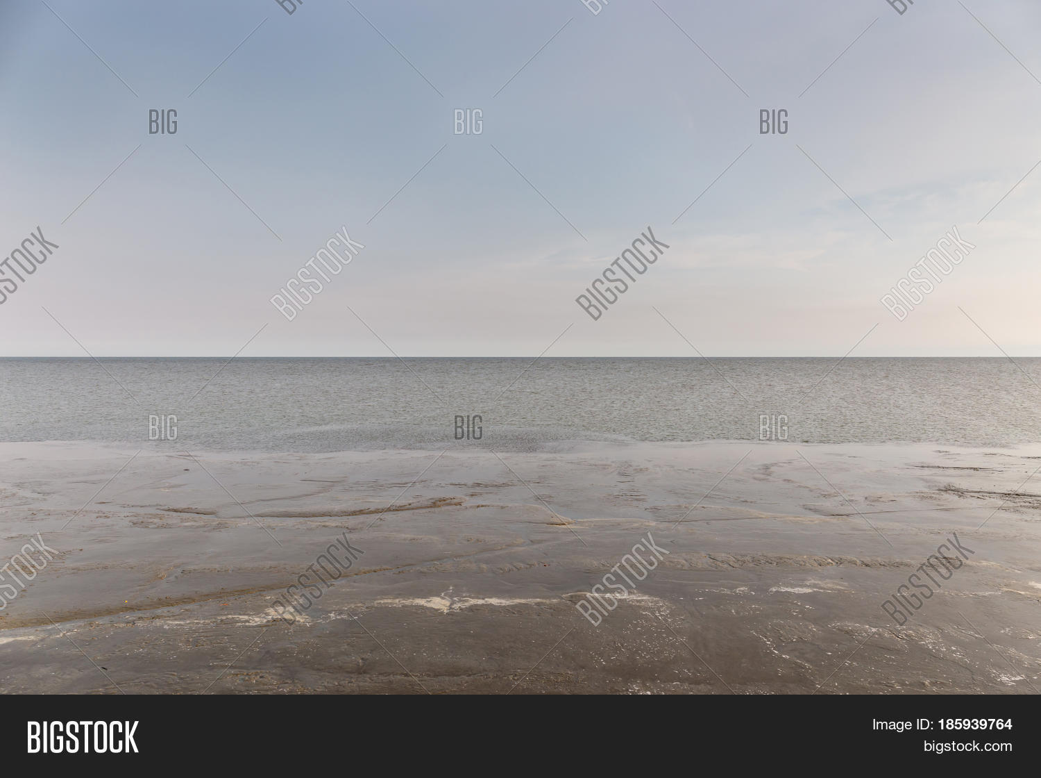 Natural Wetland Scene Image & Photo (Free Trial) | Bigstock