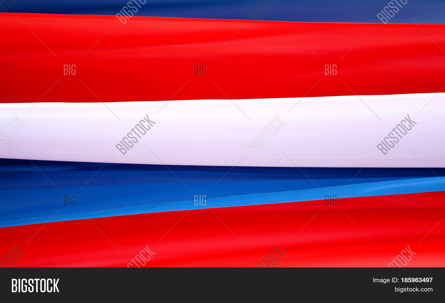Beautiful Tricolor Image & Photo (Free Trial) | Bigstock