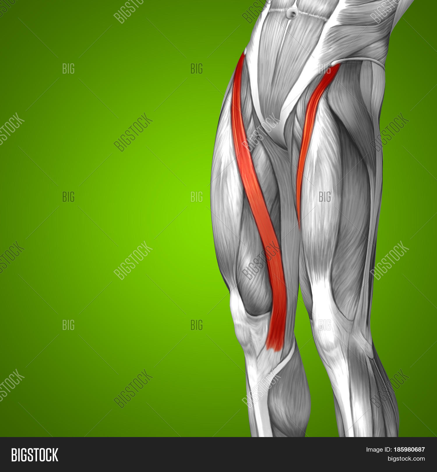 Concept Conceptual 3D Image & Photo (Free Trial) | Bigstock