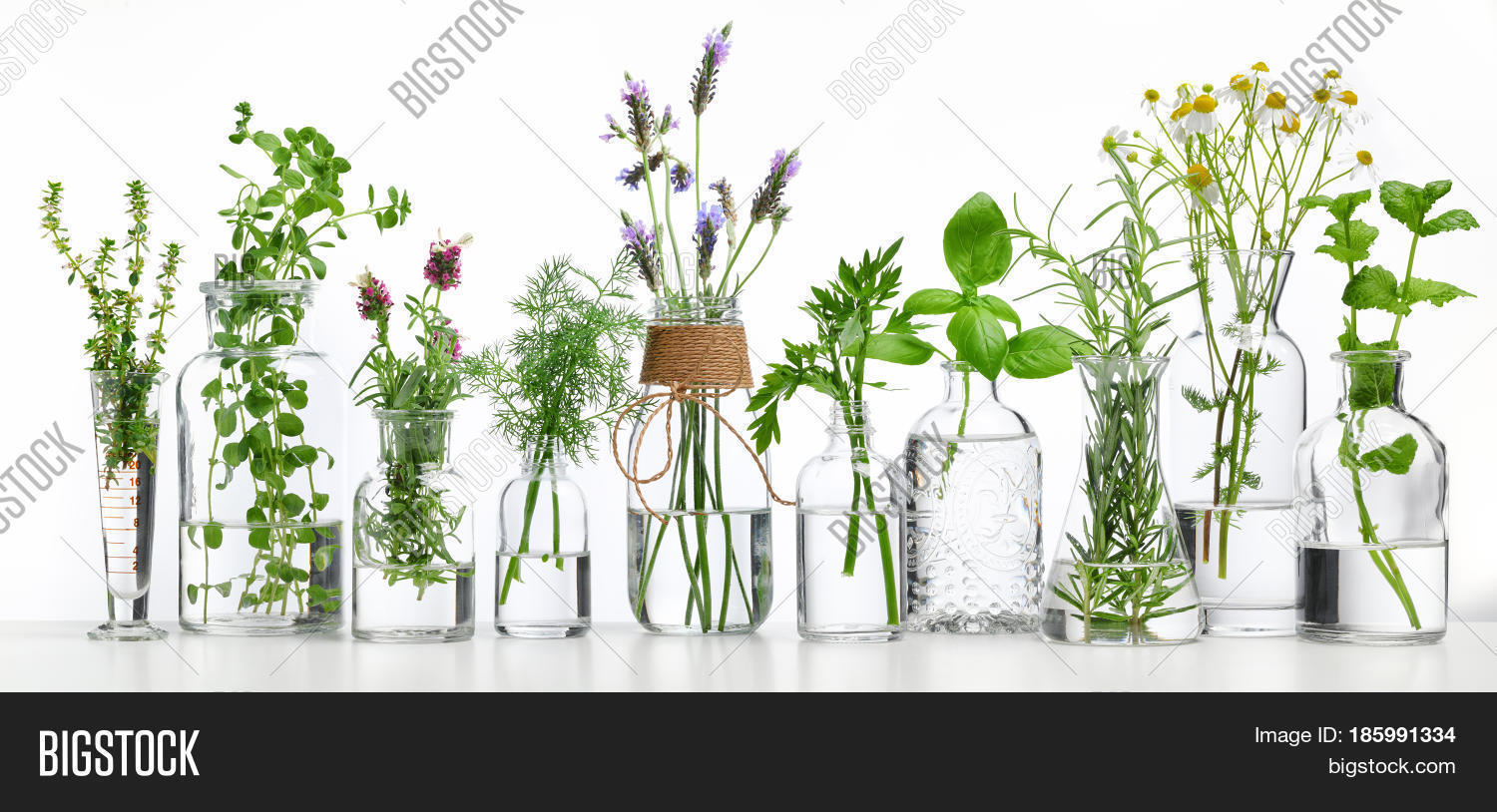 Bottle Essential Oil Image & Photo (Free Trial) | Bigstock