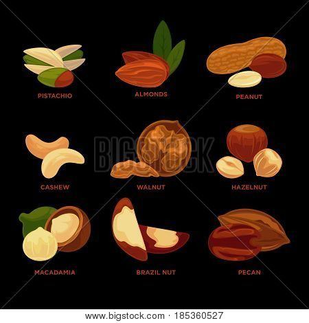 Nuts Collection Names Vector & Photo (Free Trial) | Bigstock