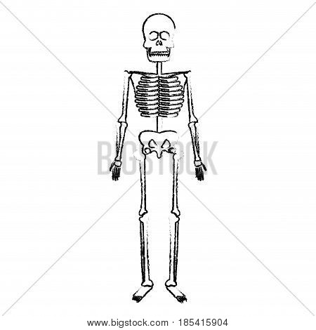 Skeleton Human Body Vector & Photo (Free Trial) | Bigstock