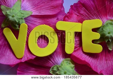 Word Vote On Abstract Image & Photo (Free Trial) | Bigstock