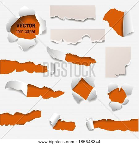 Collection Torn Edges Vector & Photo (Free Trial) | Bigstock