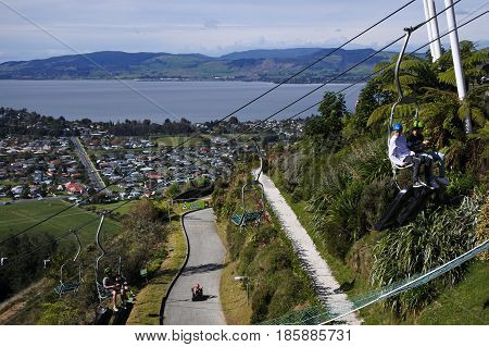 Skyline Rotorua Luge Image & Photo (Free Trial) | Bigstock