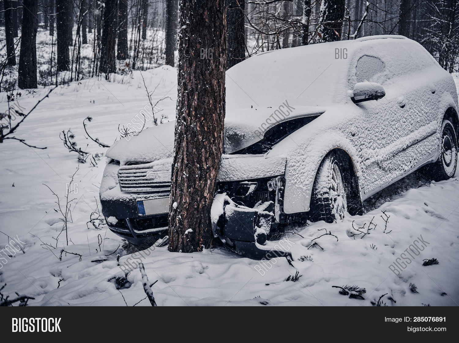 Front View Car Got Image & Photo (Free Trial) | Bigstock