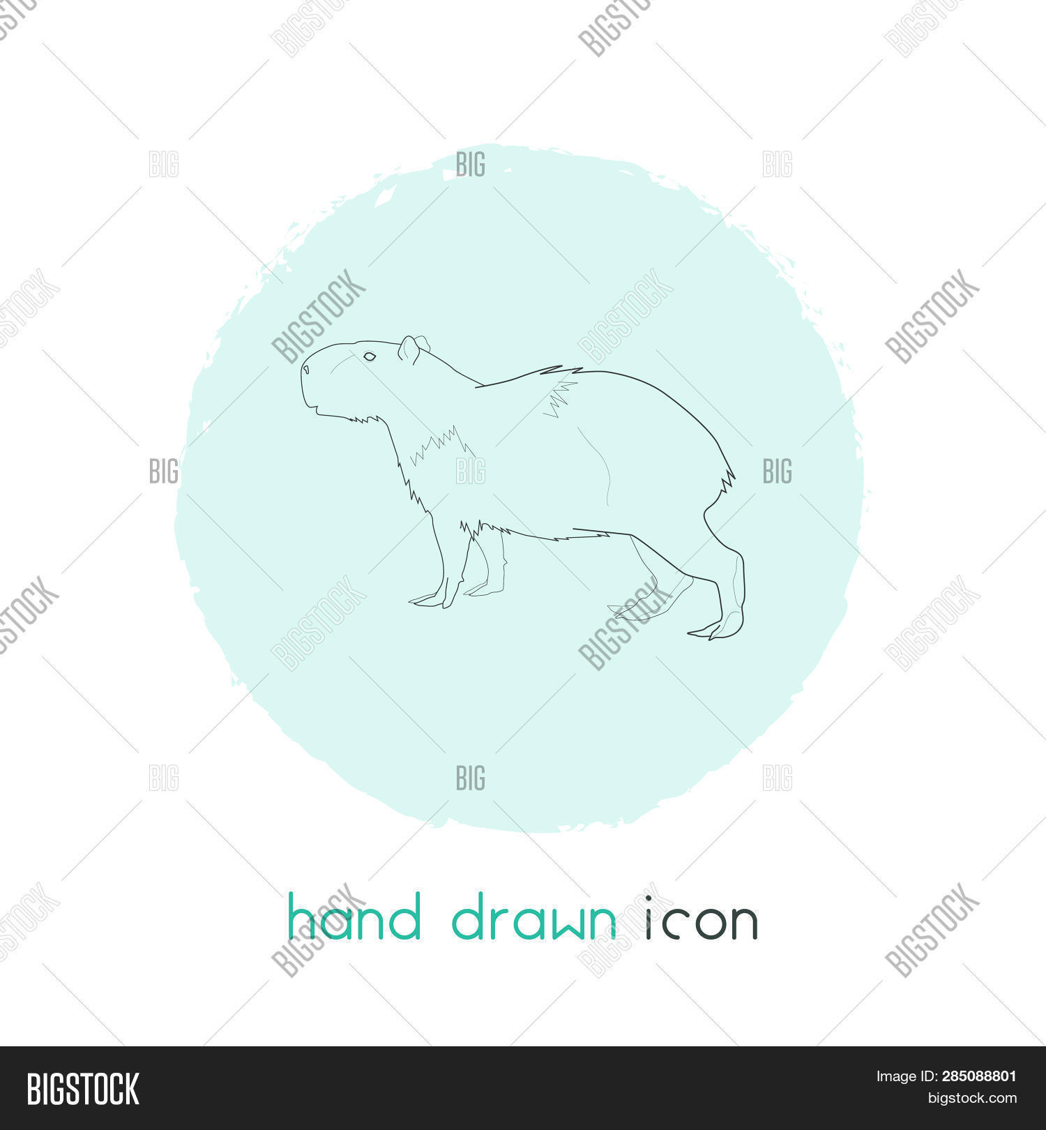 Capybara Icon Line Image & Photo (Free Trial) | Bigstock