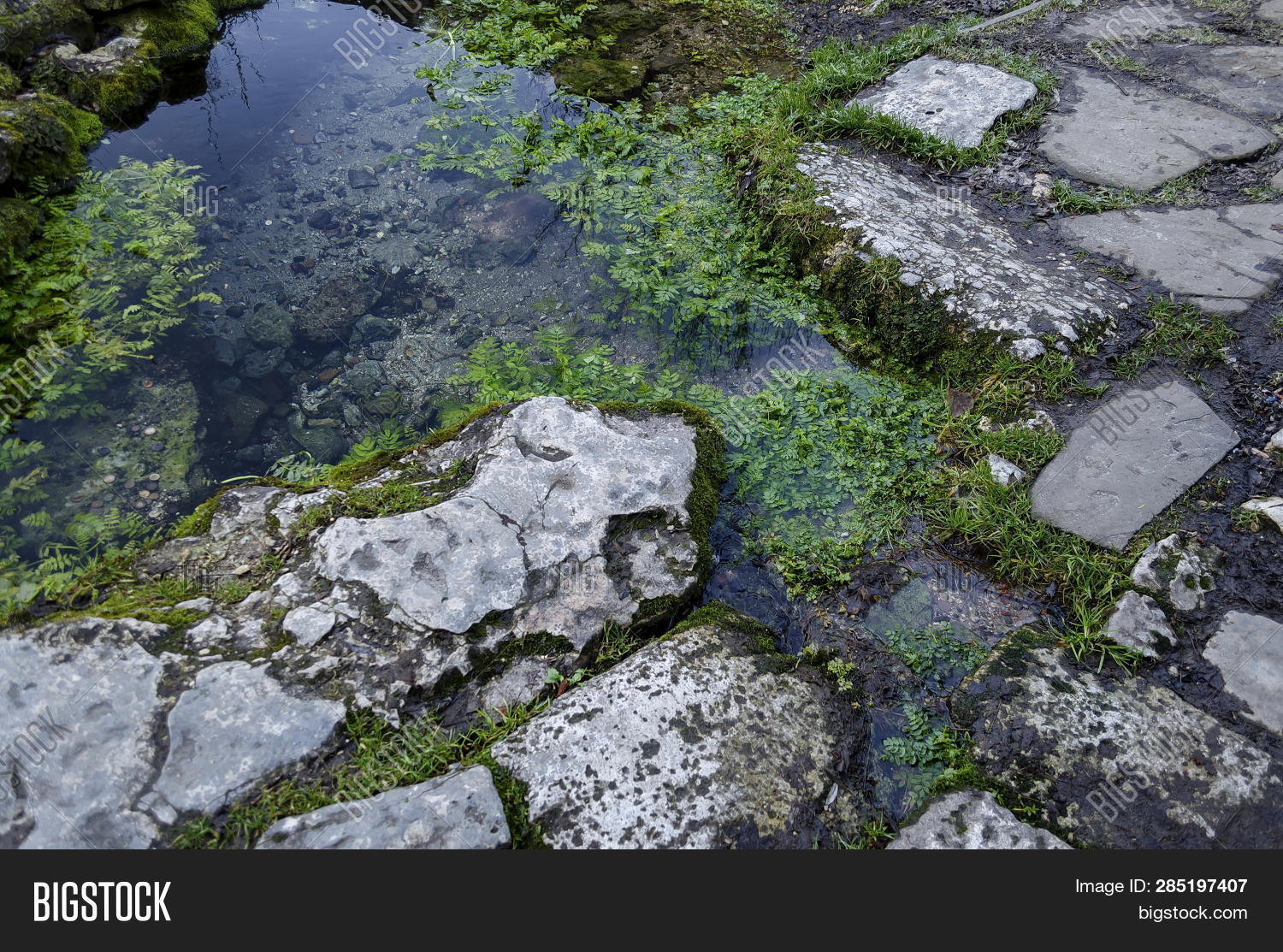 Small Corner Streamlet Image & Photo (Free Trial) | Bigstock