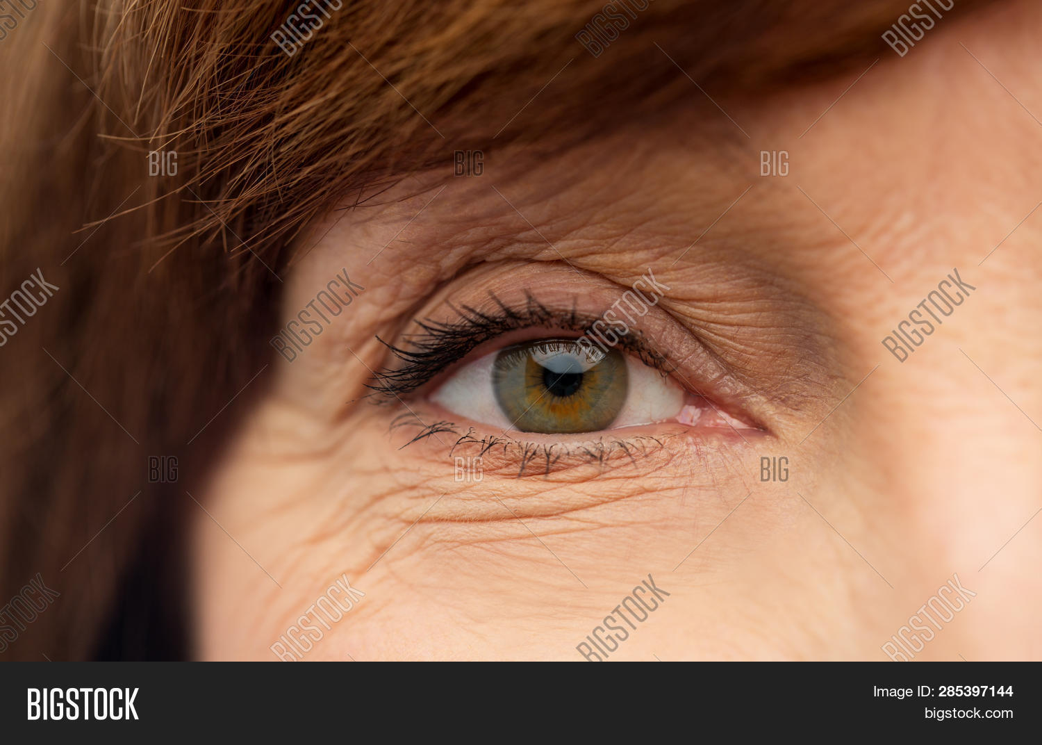 Beauty, Vision Old Image & Photo (Free Trial) | Bigstock