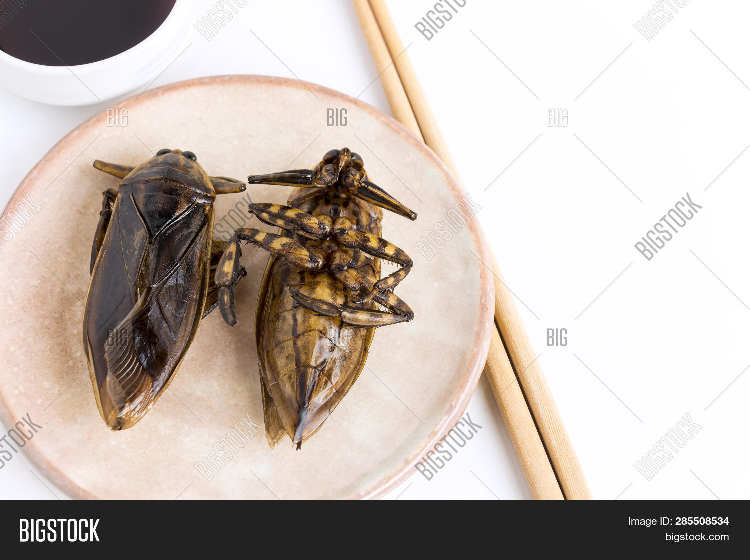 Giant Water Bug Edible Image & Photo (Free Trial) | Bigstock