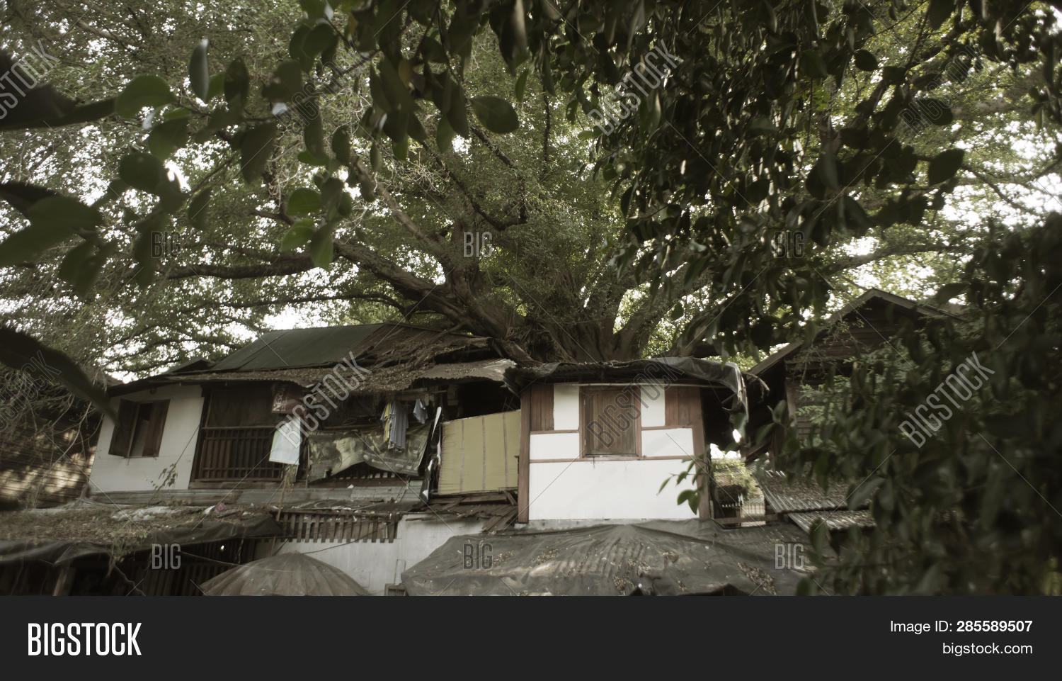 Slums House Poor Image & Photo (Free Trial) | Bigstock
