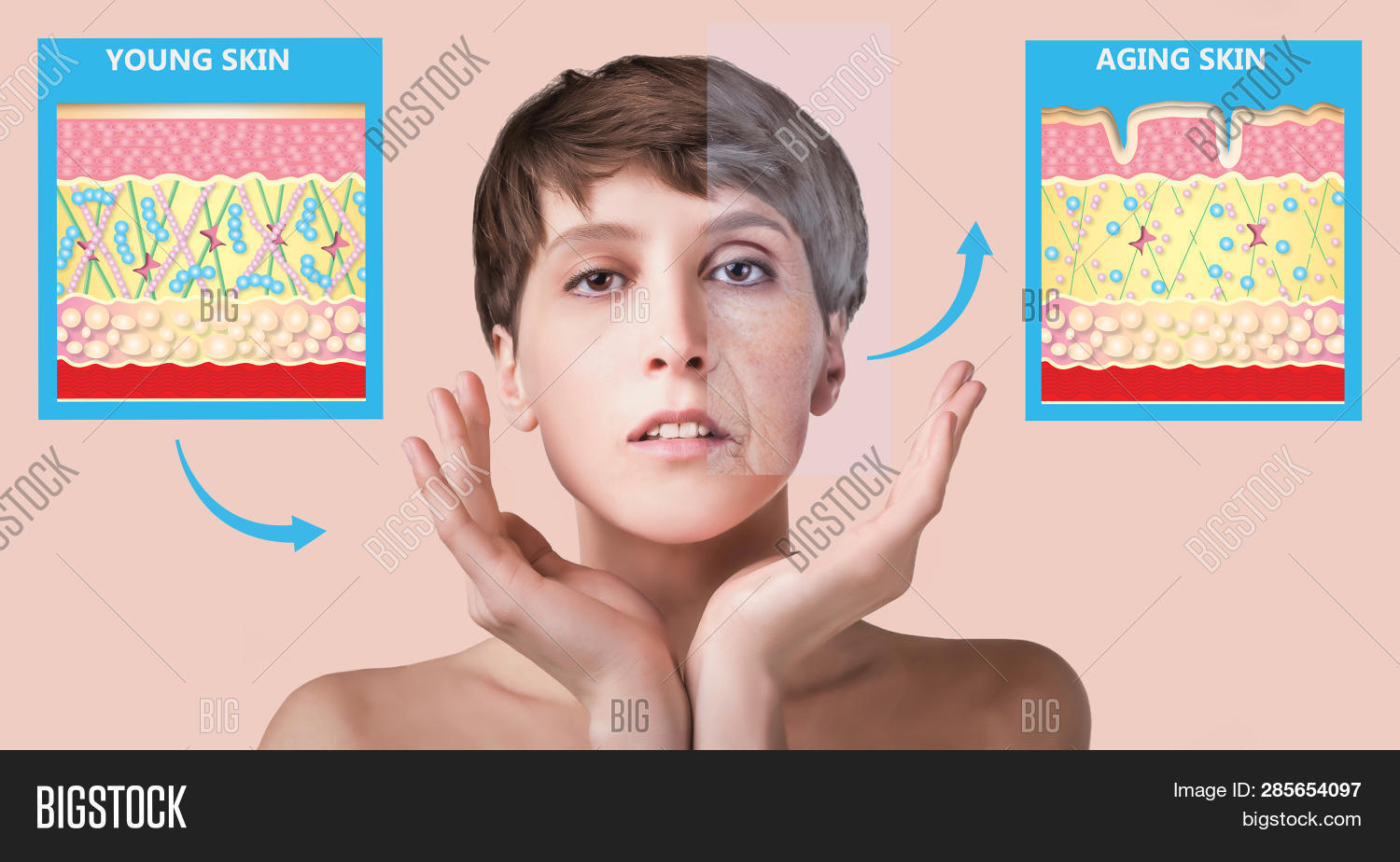 Younger Skin Aging Image & Photo (Free Trial) | Bigstock