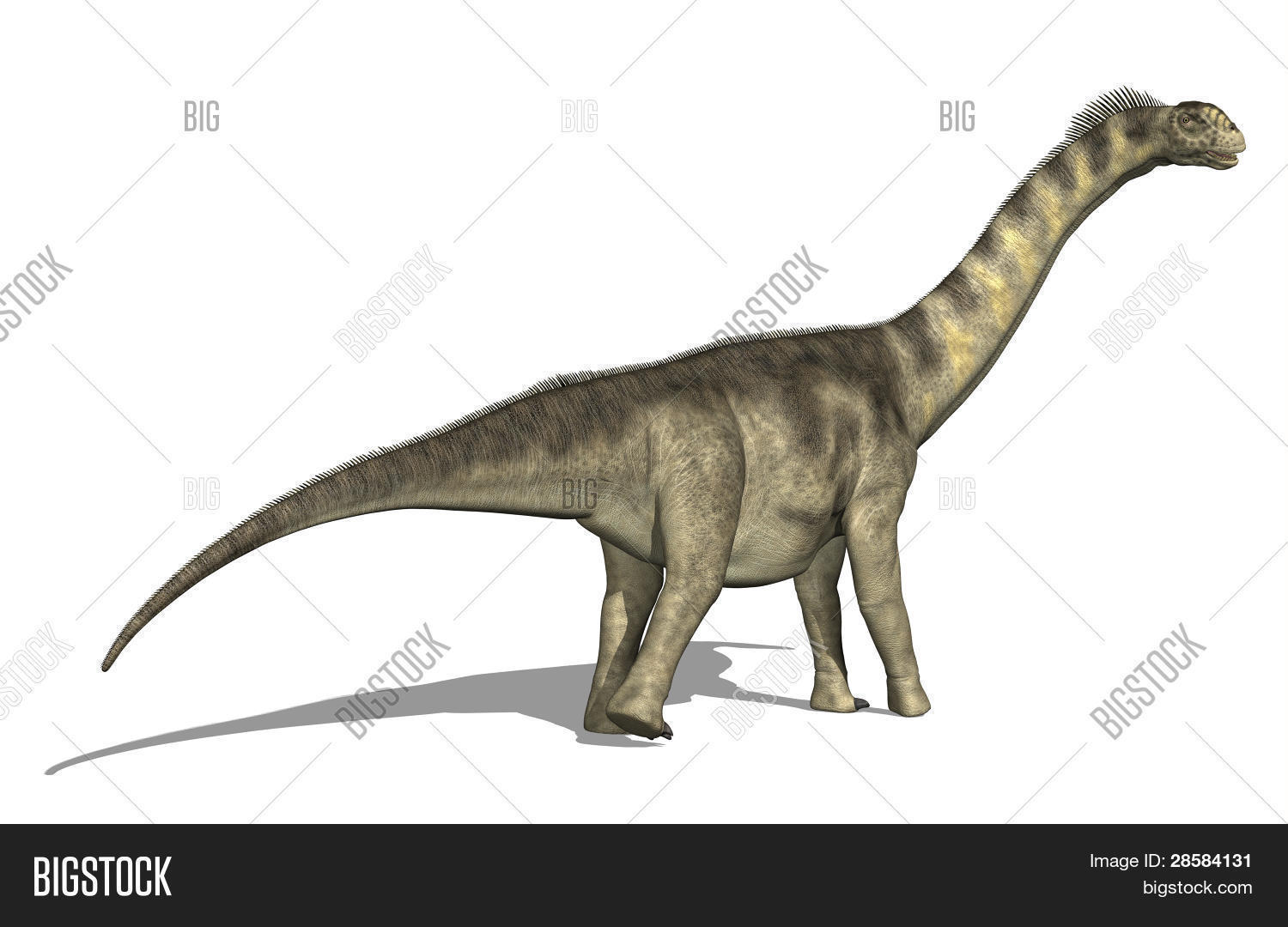 Camarasaurus Dinosaur Image & Photo (Free Trial) | Bigstock