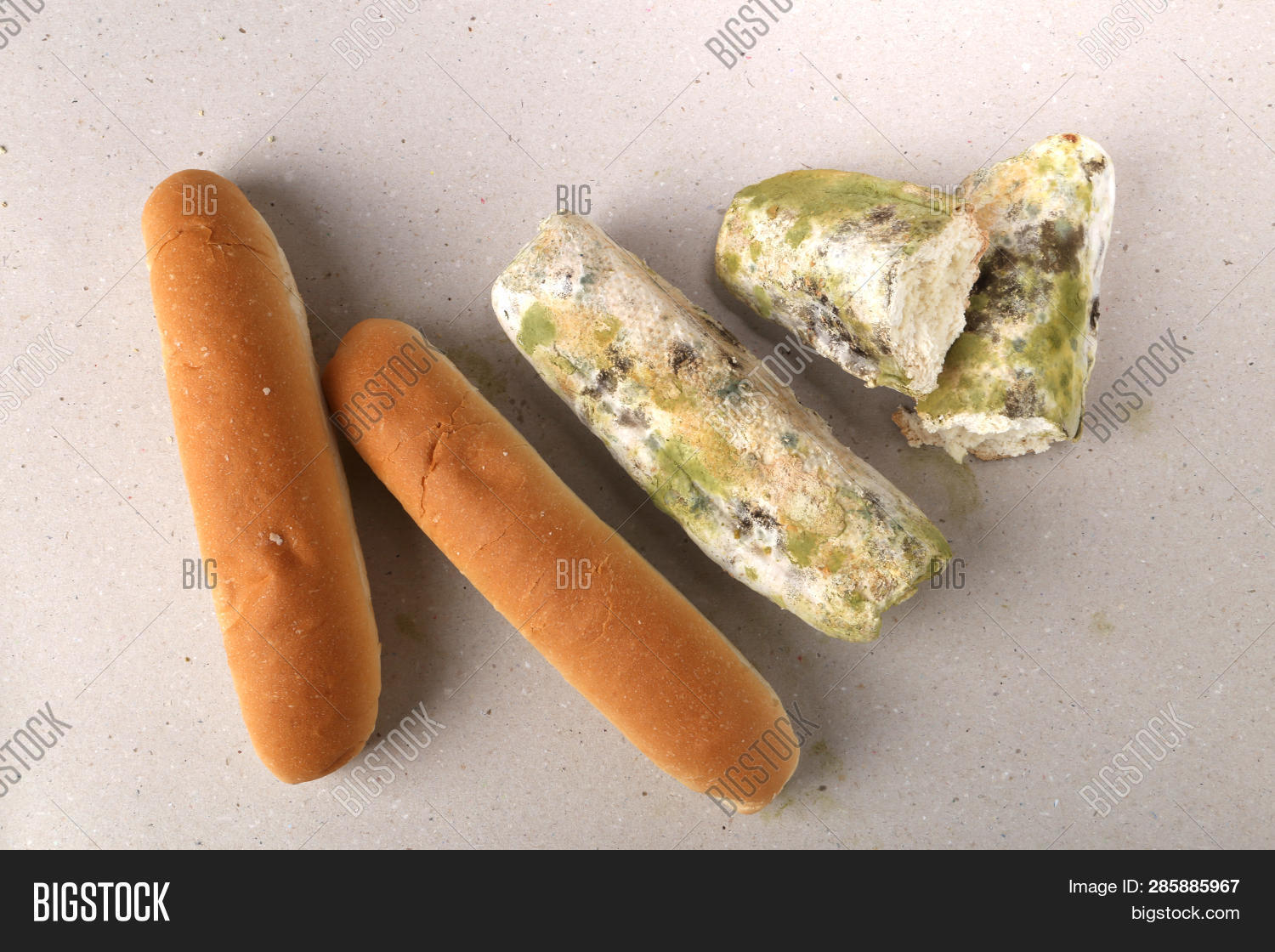 Mold On Bread. Best Image & Photo (Free Trial) | Bigstock