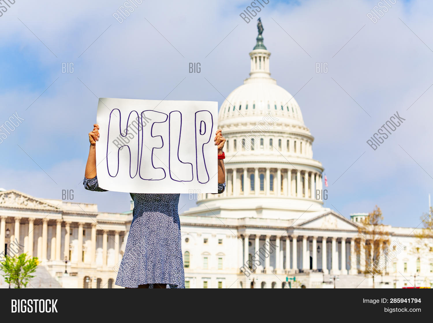 Protester Holding Sign Image & Photo (Free Trial) | Bigstock