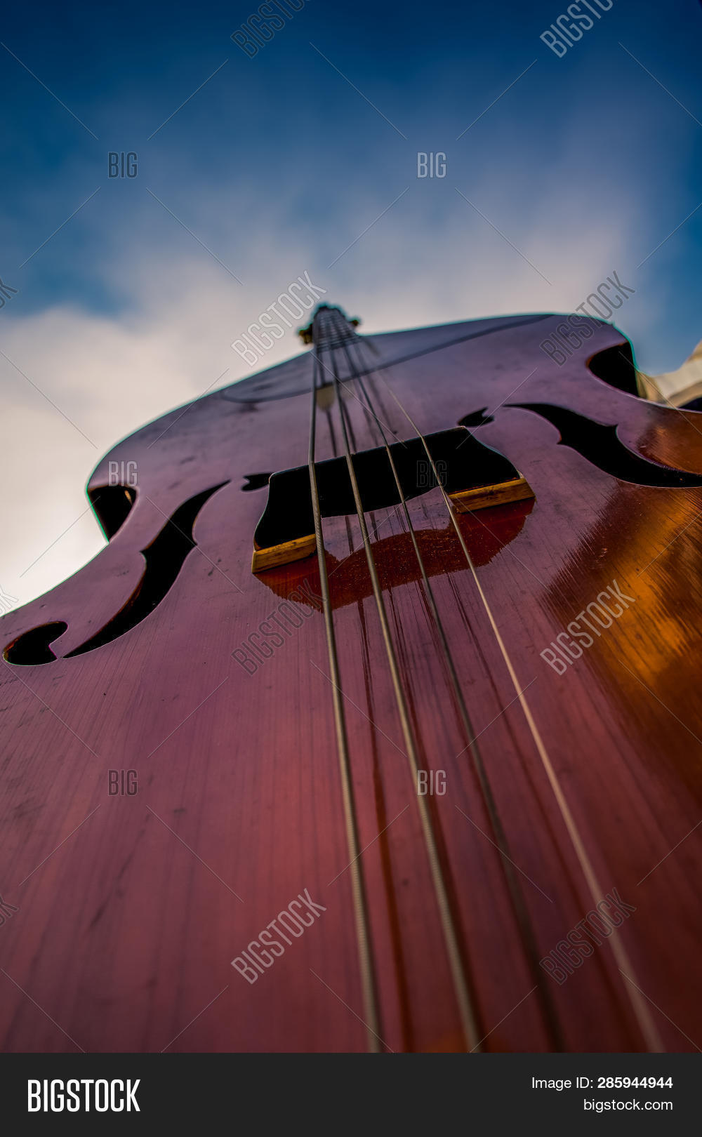 Look Down Under Big Image & Photo (Free Trial) | Bigstock