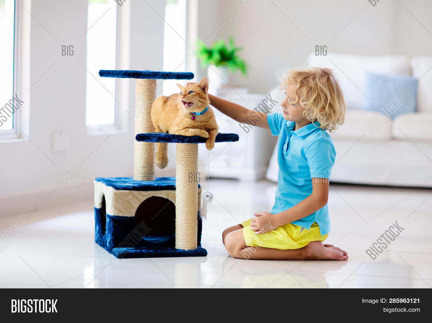 Child Playing Cat Home Image & Photo (Free Trial) | Bigstock