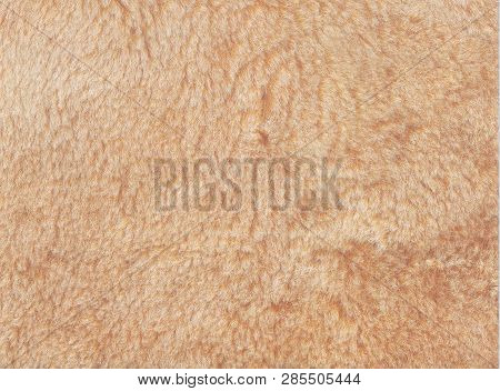 Abstract Light Brown Image & Photo (Free Trial) | Bigstock
